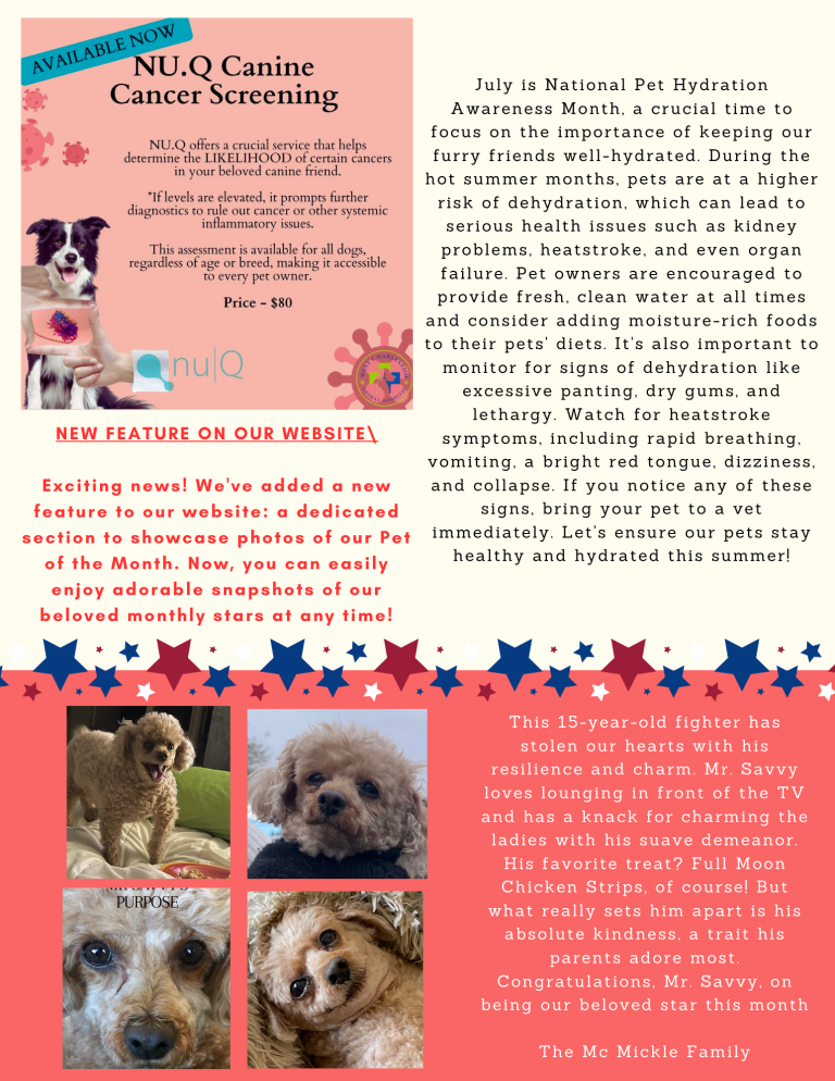 July 2024 Newsletter | West Charleston Animal Hospital