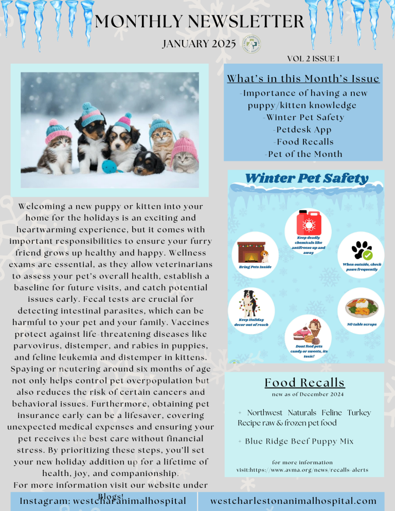January 2025 Newsletter | West Charleston Animal Hospital
