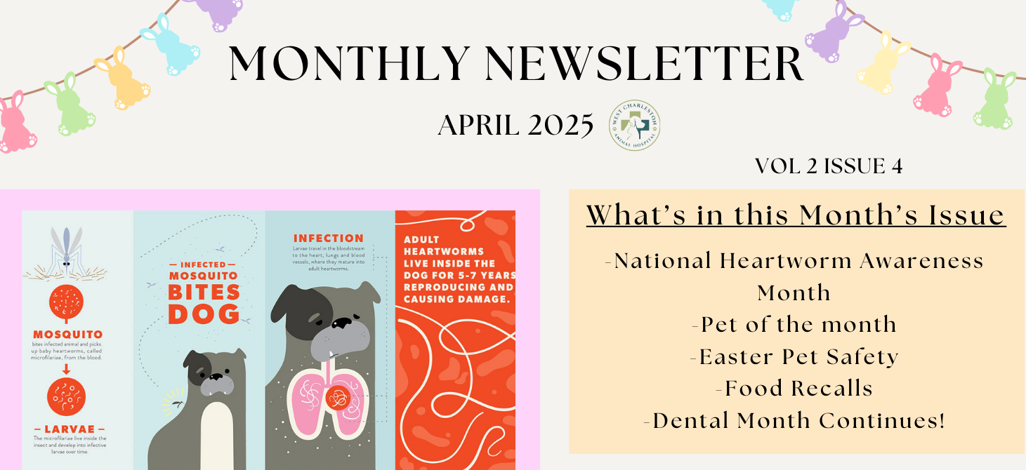 April 2025 Newsletter | West Charleston Animal Hospital