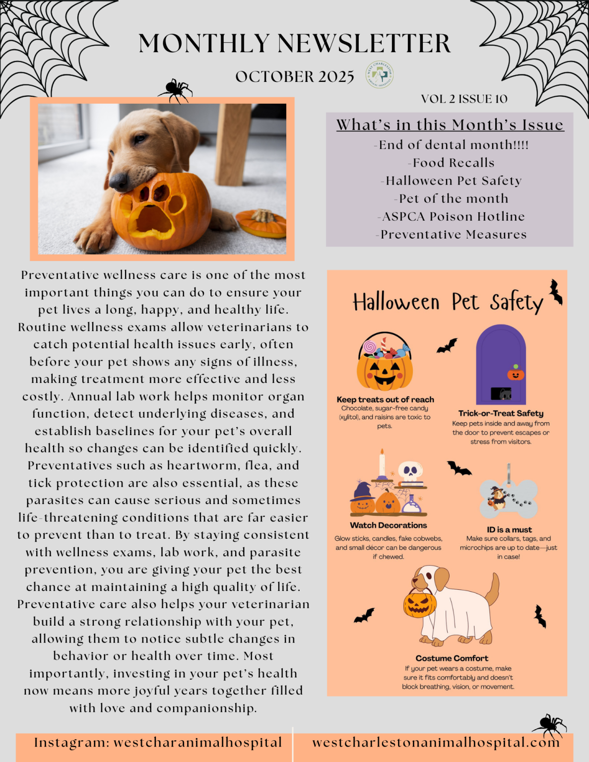 October 2025 Newsletter | West Charleston Animal Hospital